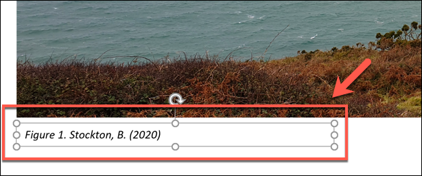 Cómo citar imágenes en PowerPoint - ResponTodo