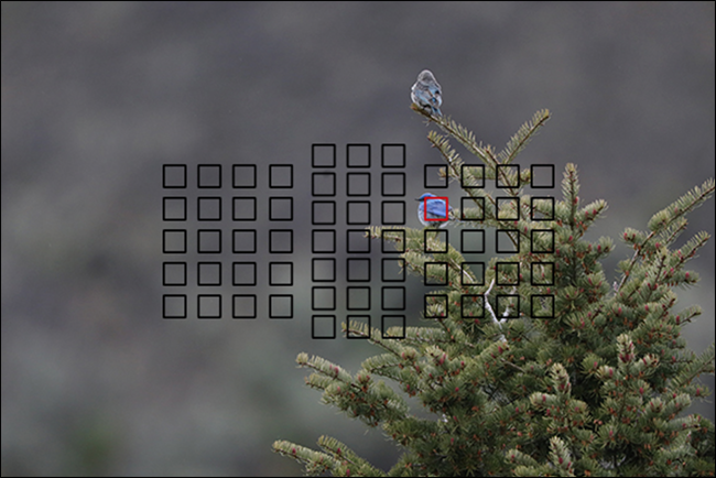 ¿Qué es el enfoque automático y qué significan los diferentes modos ...